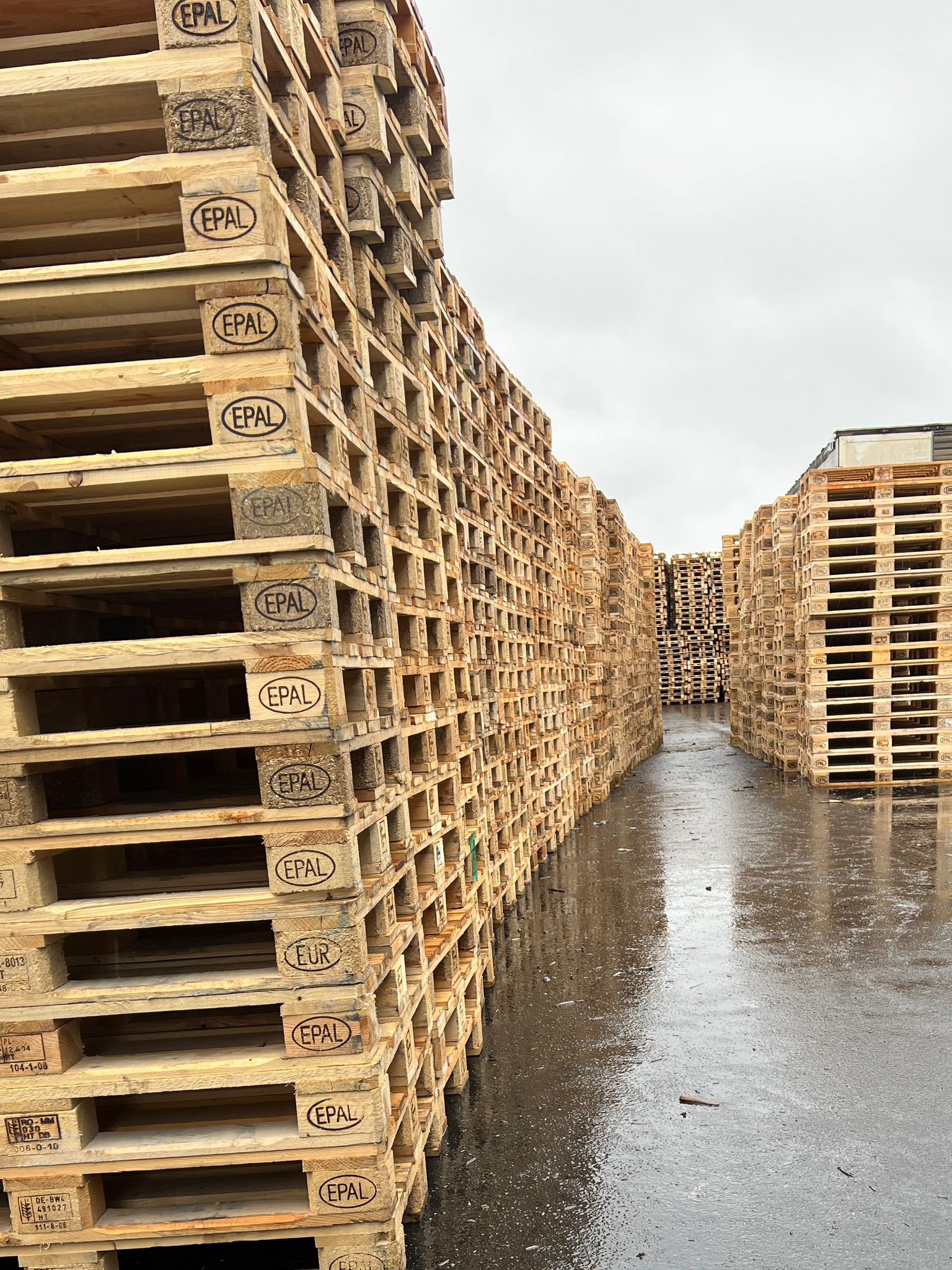 Green Pallet – Green Pallet est une société éco-responsable spécialisée ...